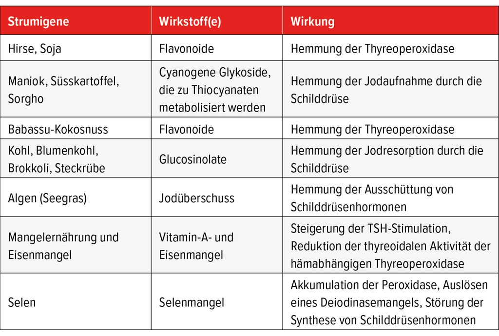Die Struma in der Hausarztpraxis - Endokrinologie & Diabetologie - Universimed - Knowledge that ...